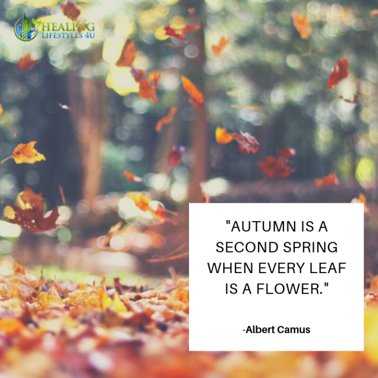 Autumn is a second spring when every leaf is a flower | Healing ...